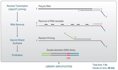 Lexogens RNA-seq solutions for FFPE cancer studies